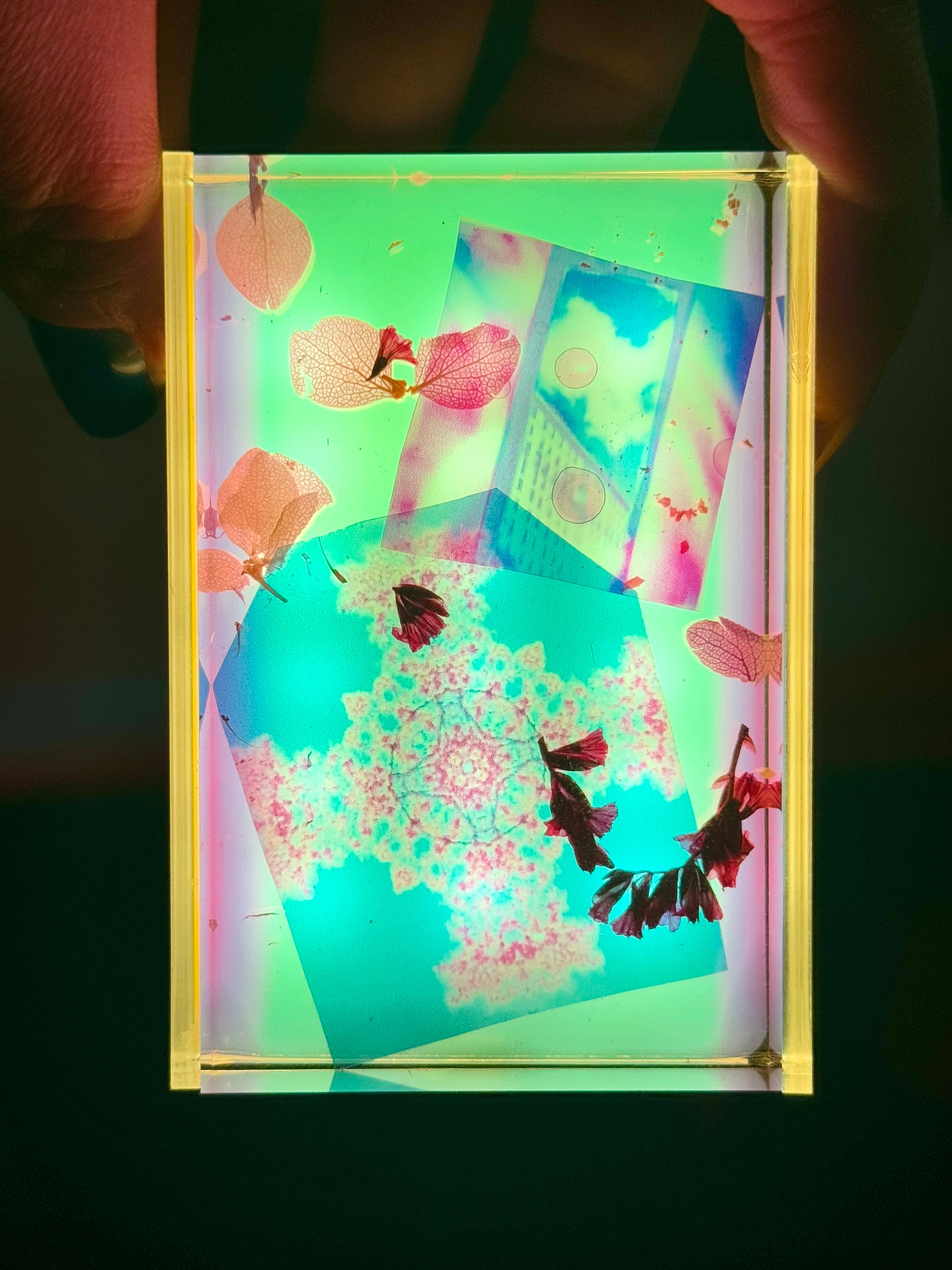 Dichroic Frame With Transparency Collage and Dried Flowers - Etsy