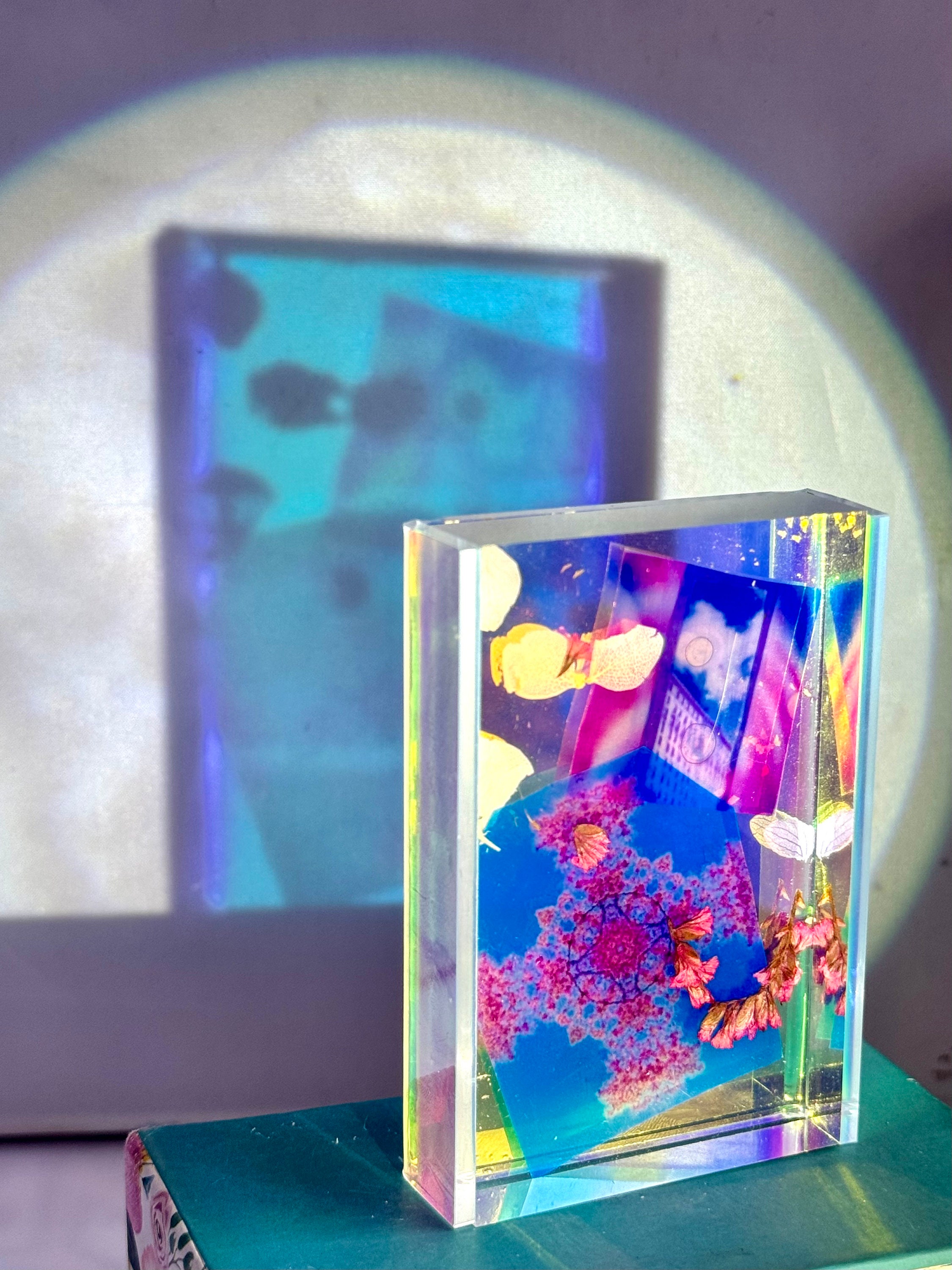Dichroic Frame With Transparency Collage and Dried Flowers - Etsy