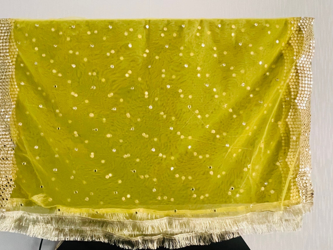 Beautiful Embroidery Dupata With Sequins,gold Border & Kiran Lace. - Etsy