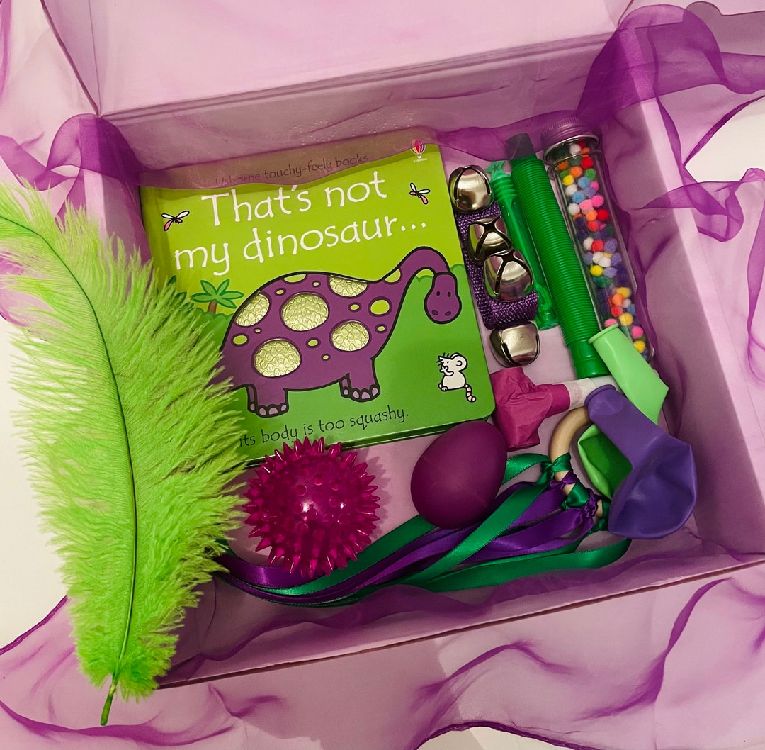 Baby Sensory Box Dinosaur / Baby Gift / Baby Shower - Etsy