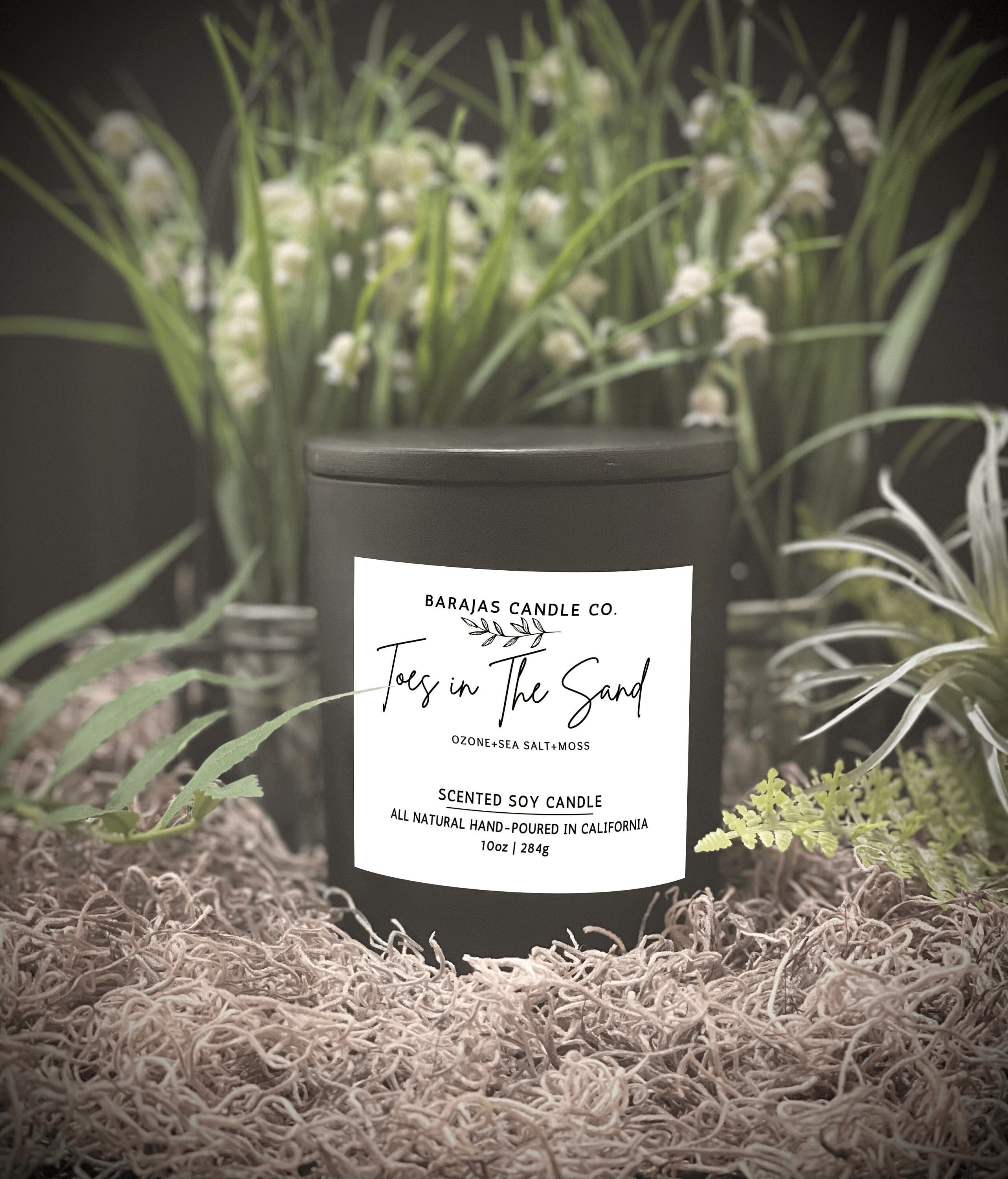 TOES in THE SAND Ozonesea Saltmoss Scented Soy Wax Candles&melts Matte ...