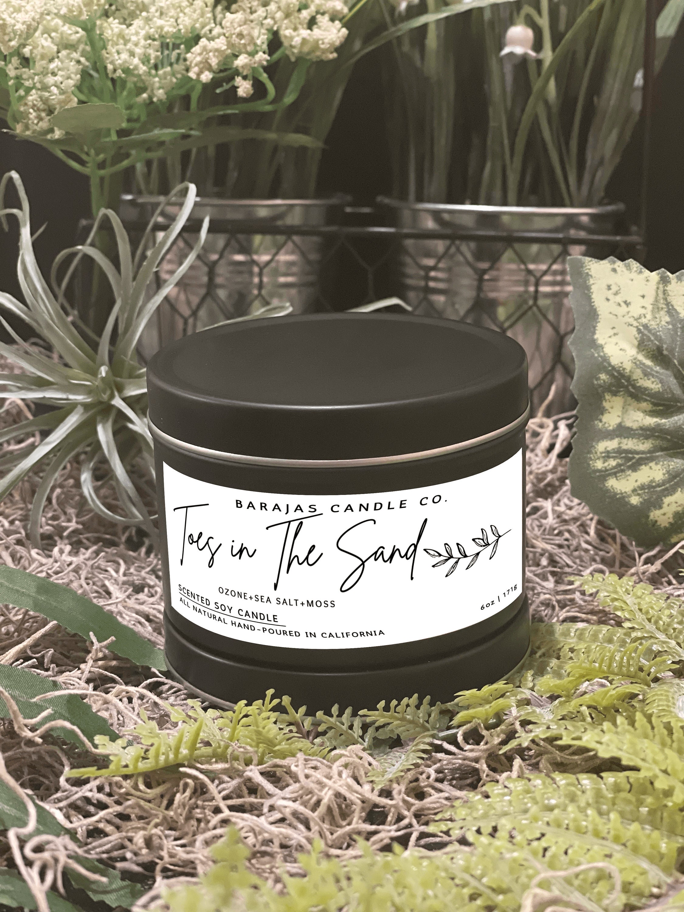 TOES in THE SAND Ozonesea Saltmoss Scented Soy Wax Candles&melts Matte ...