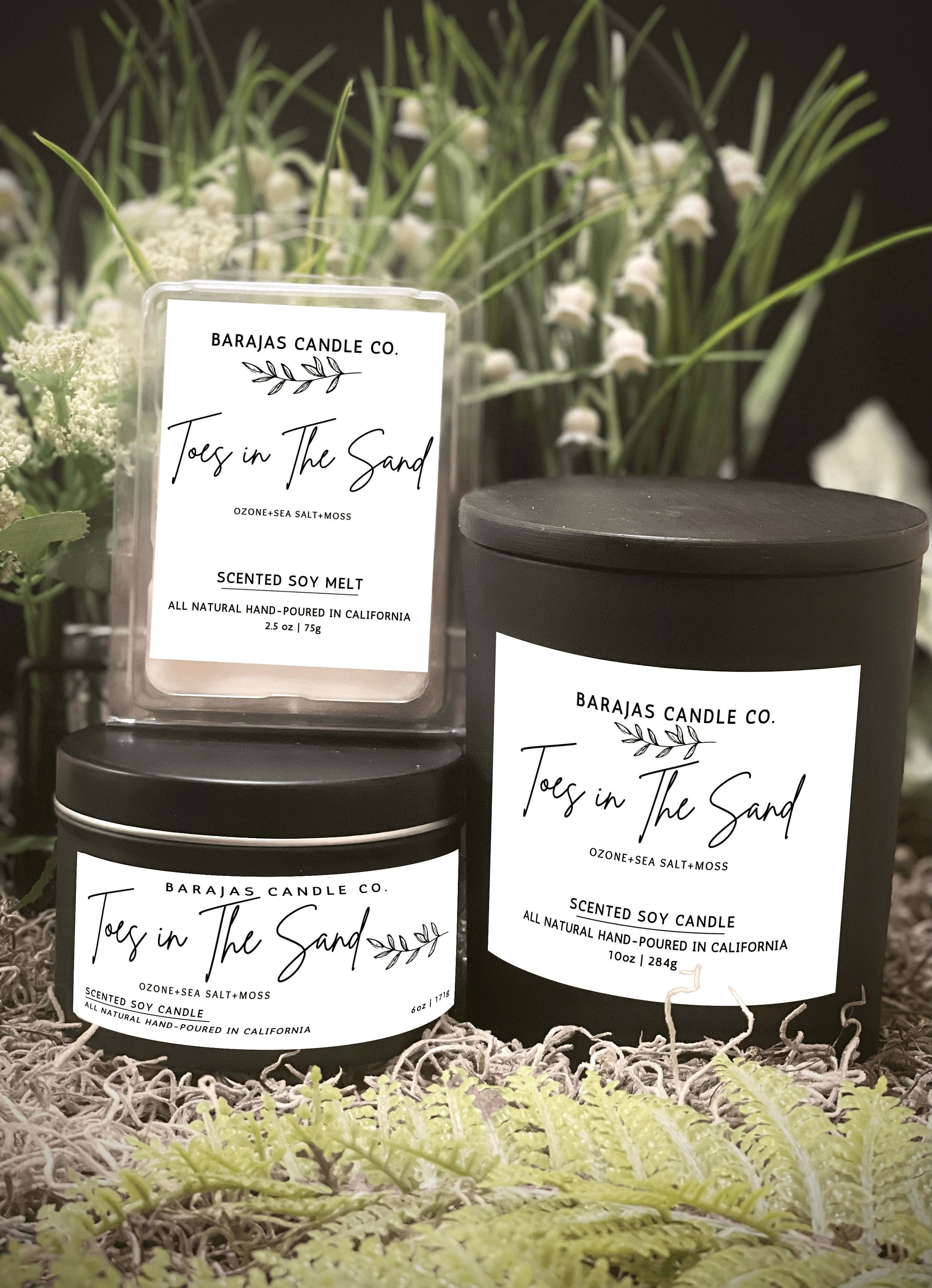 TOES in THE SAND Ozonesea Saltmoss Scented Soy Wax Candles&melts Matte ...