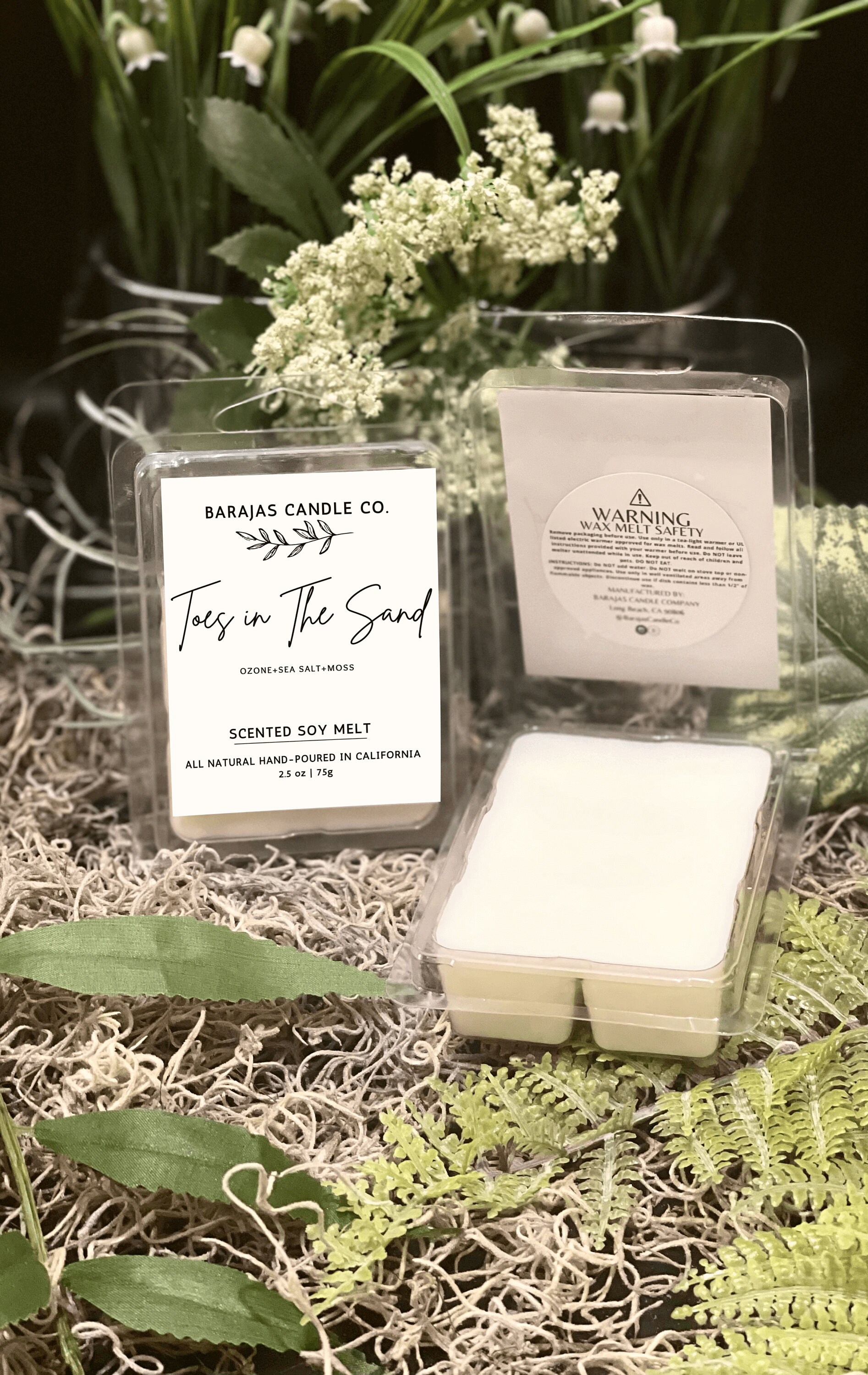 TOES in THE SAND Ozonesea Saltmoss Scented Soy Wax Candles&melts Matte ...