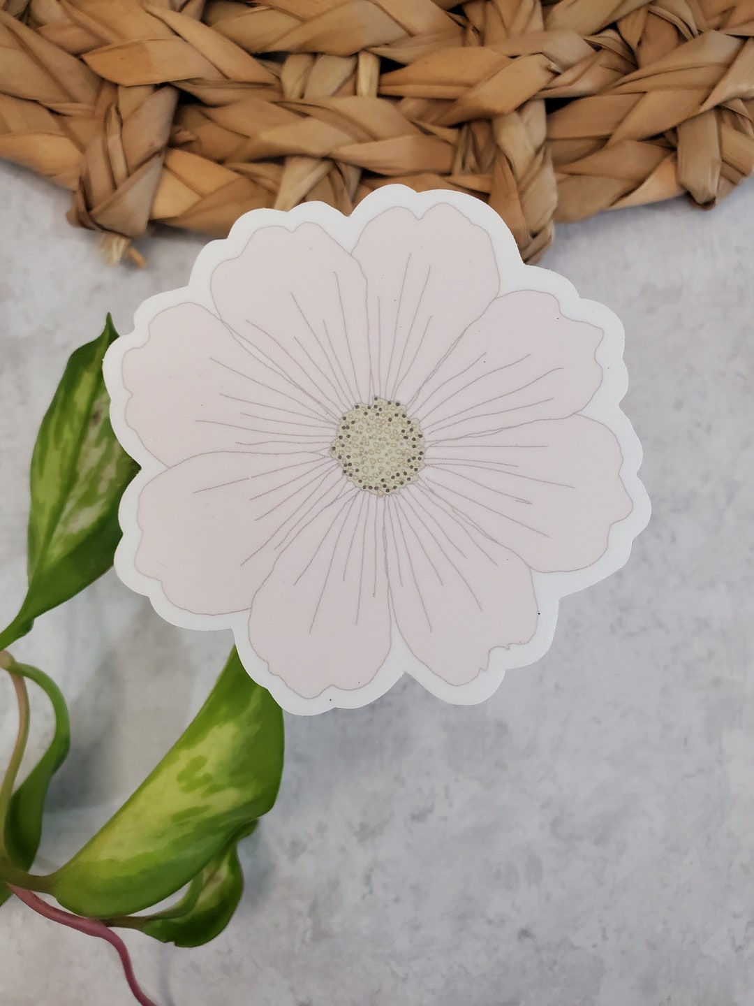 Cosmos Pink Flower Stickers, Cosmos Pink Flower, Flower Stickers ...