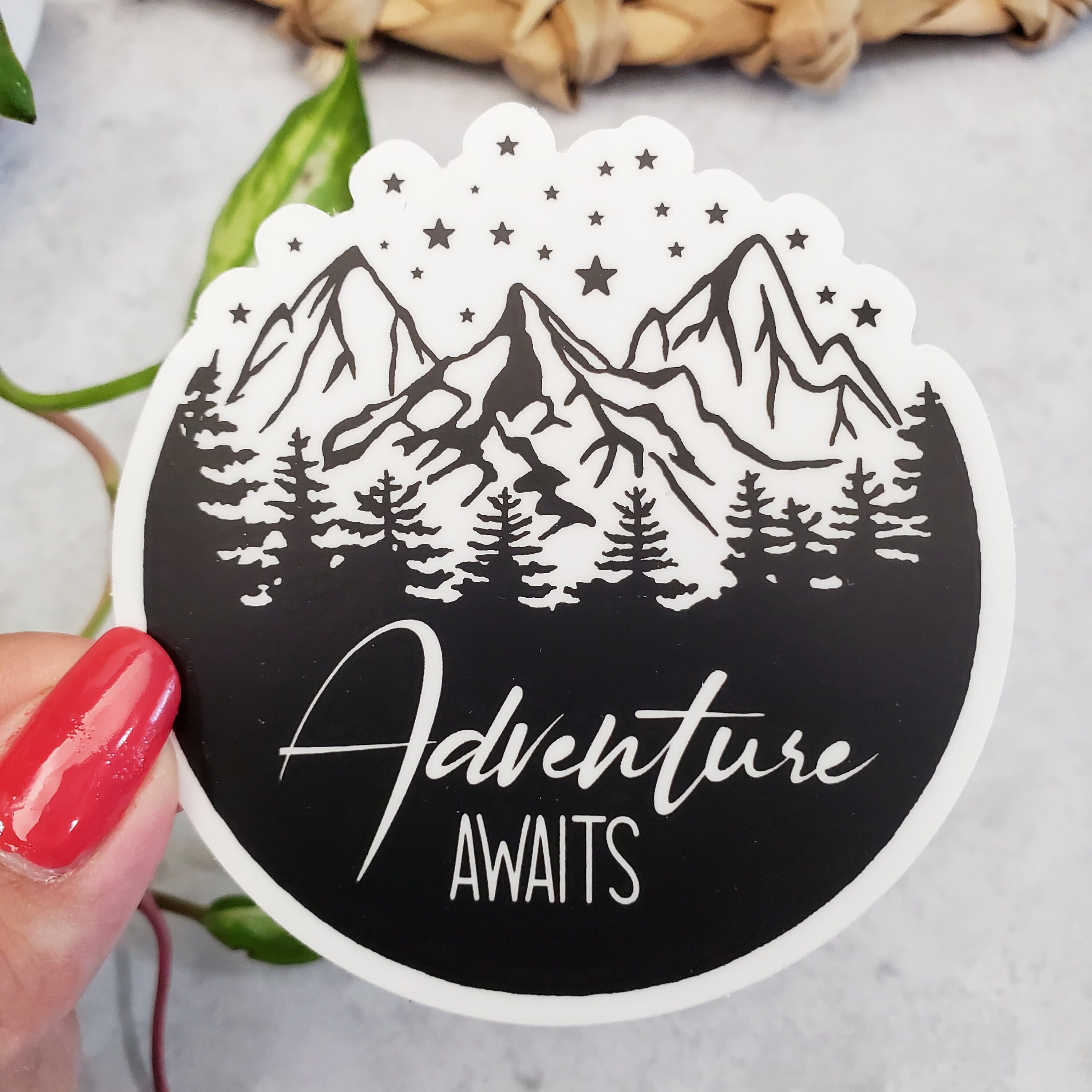 Adventure Awaits Sticker Adventure Sticker Adventure Time | Etsy