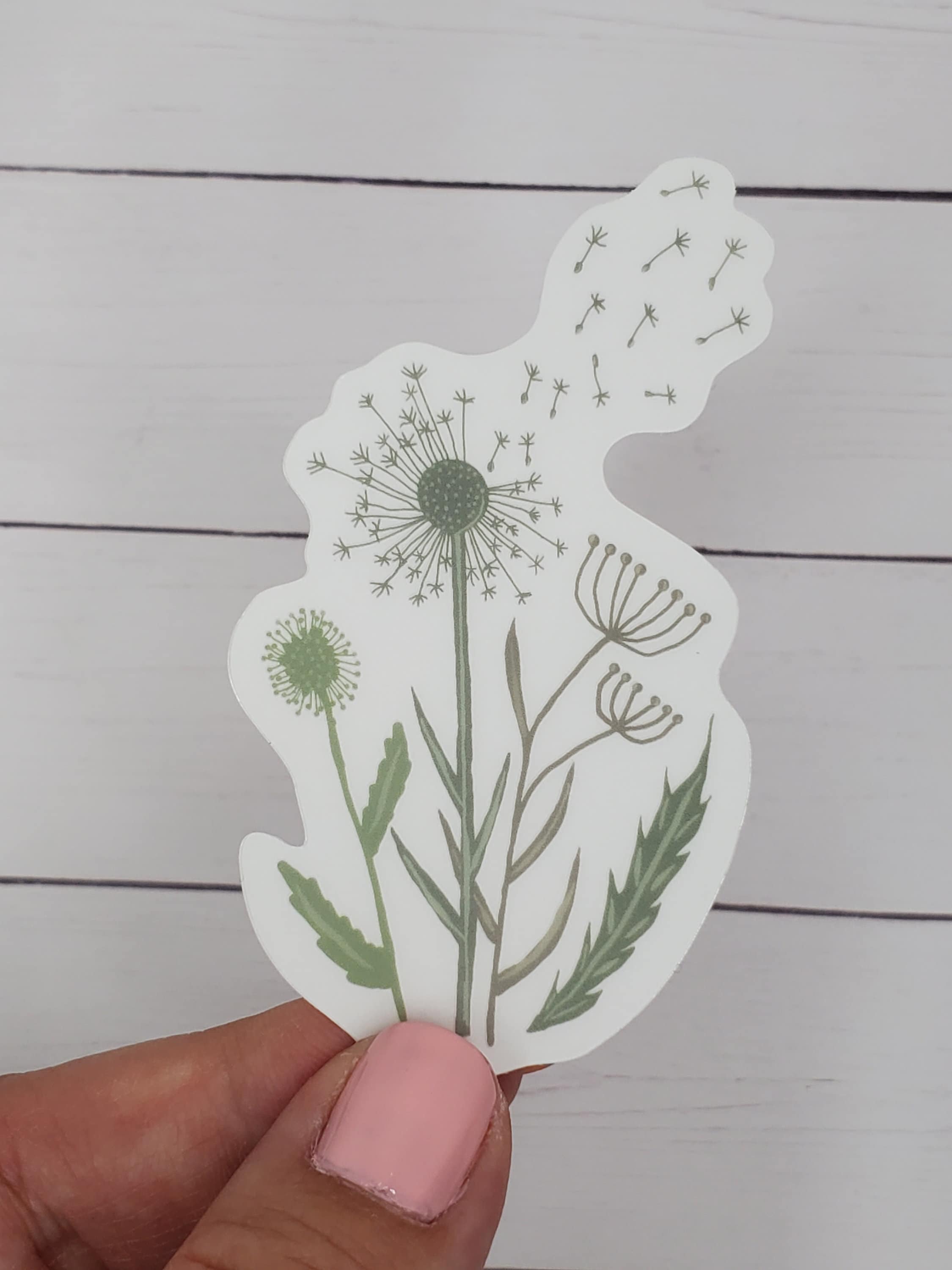 Dandelion Sticker, flower stickers, floral sticker, aestheic sticker ...