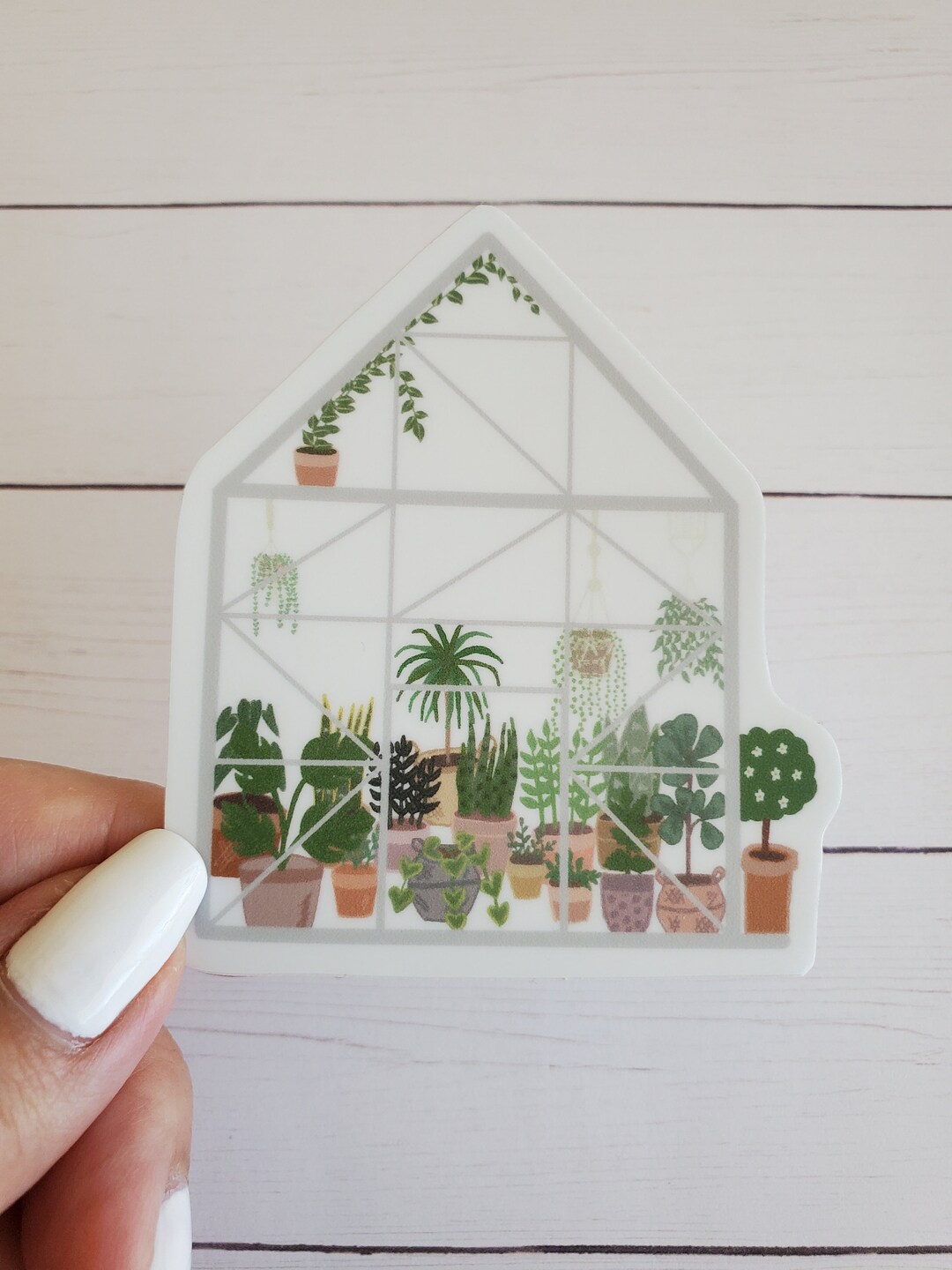 Green House Sticker, Hanging Plants, House Plant, Plant Stickers, House ...