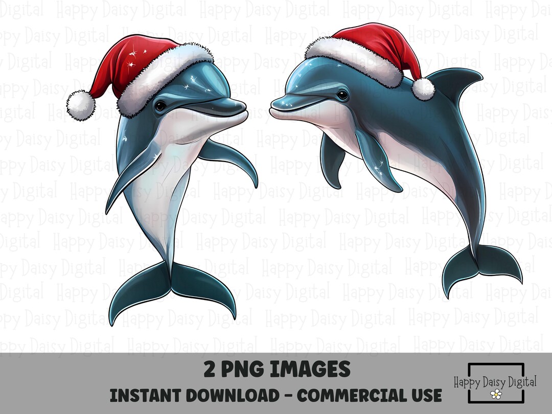 Dolphin Christmas, Dolphin PNG, Christmas Dolphin, Christmas PNG ...