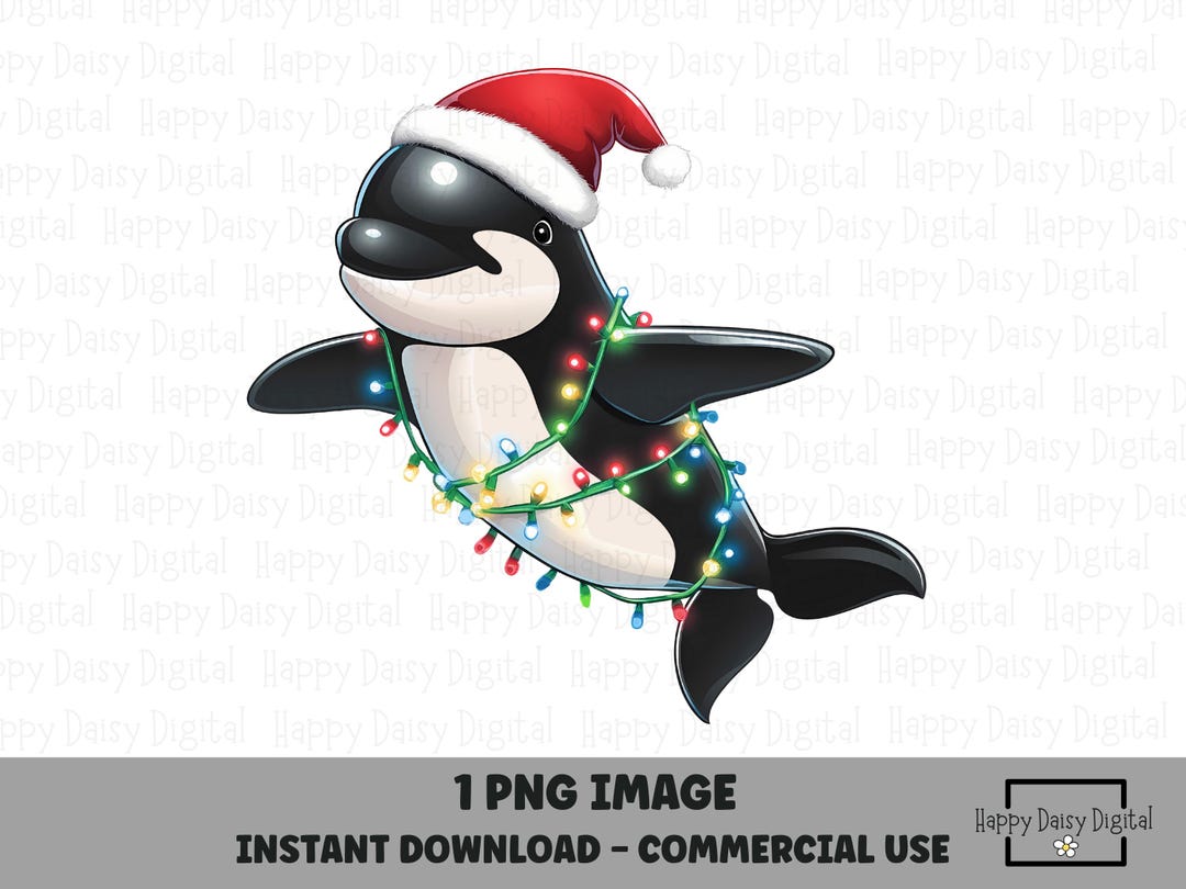 Christmas Whale PNG, Whale Christmas PNG, Whale PNG, Whale Illustration ...