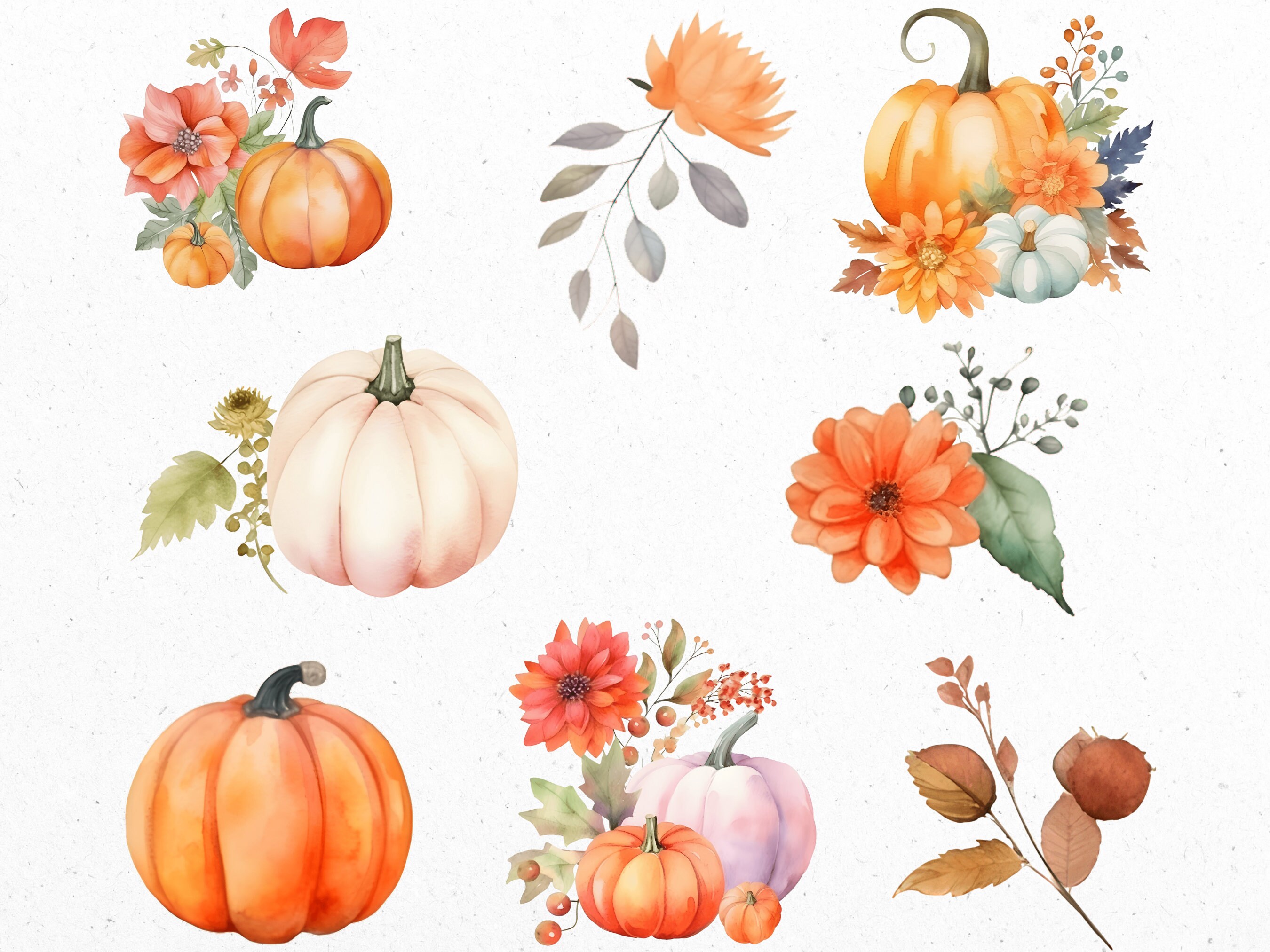 Fall Floral Watercolor Clipart Bundle, Watercolor Pumpkins PNG Image ...