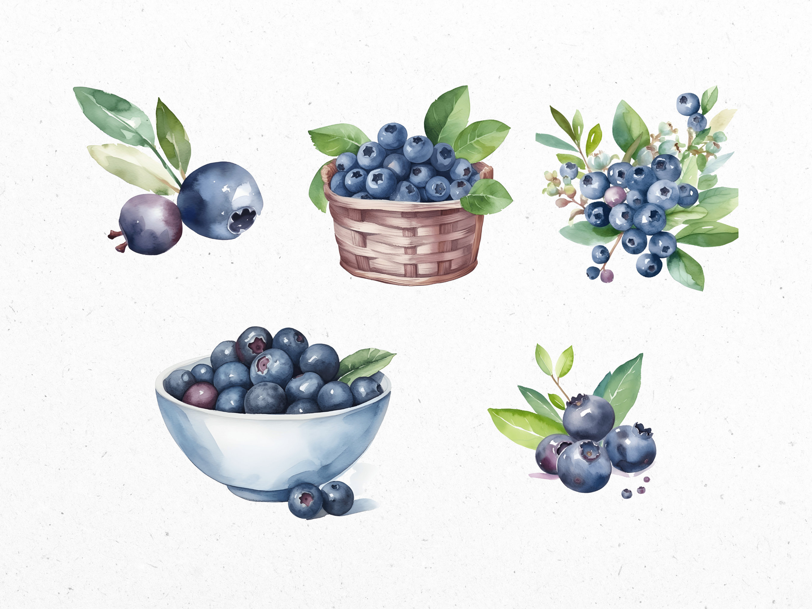 Blueberry Watercolor Clipart Bundle, PNG Blueberries Image Bundle ...