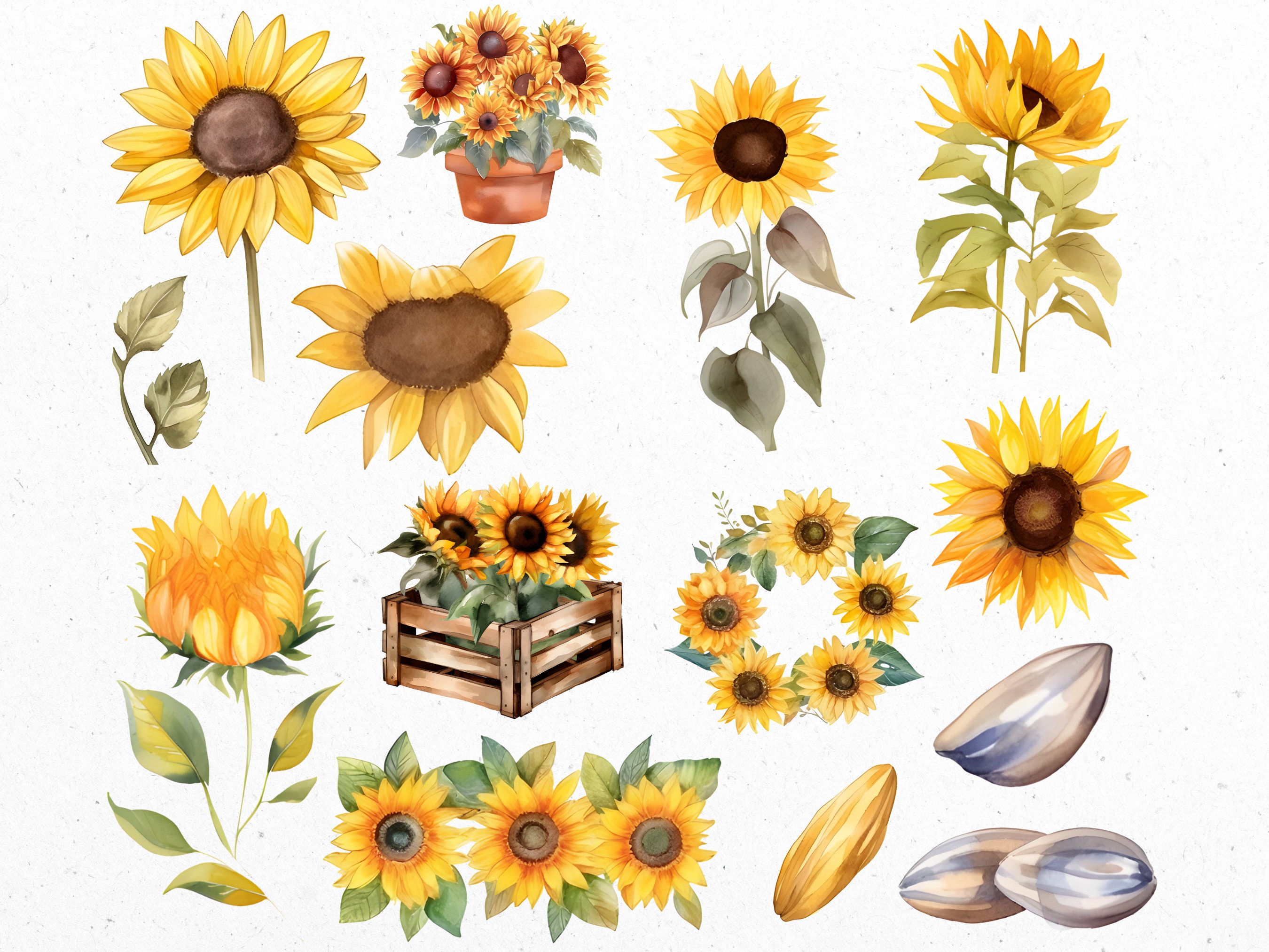 Sunflower Watercolor Clipart Bundle, PNG Image Bundle, Small Watercolor ...