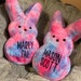 Custom Peep Plush - Etsy