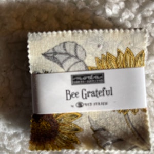 Moda Mini Charms 2.5 : Starlight Gathering, Warm Winter Wishes, Bee ...