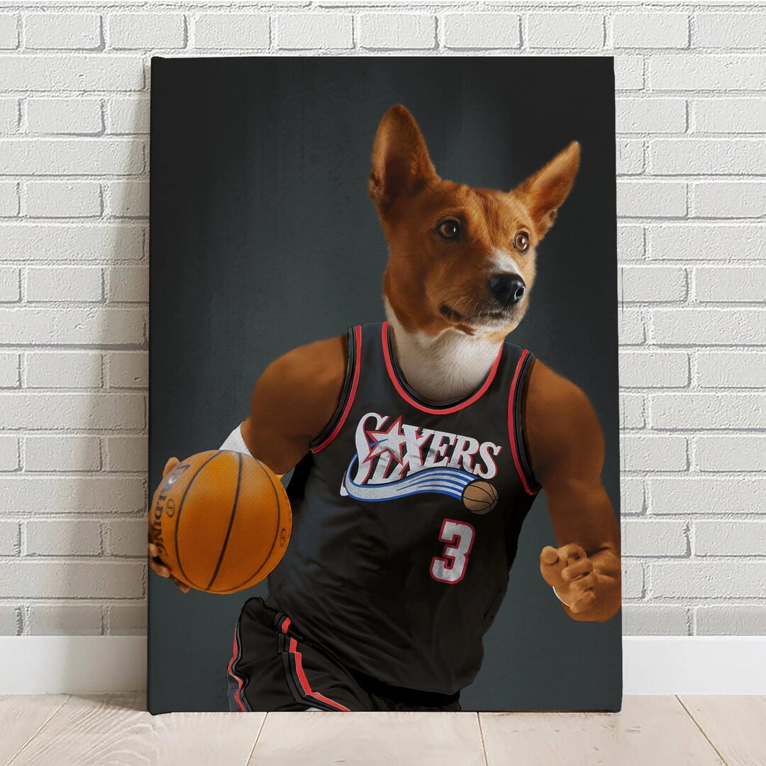 Custom Pet Portrait , Philadelphia 76ers, NBA Basketball , , Dog Cat ...