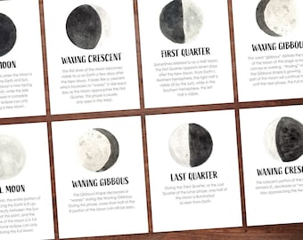 Moon Phases Flash Cards - Lunar Phases - PDF - DIGITAL - Moon Facts ...