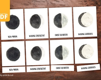 Moon Phases Flash Cards - Lunar Phases - PDF - DIGITAL - Moon Facts ...