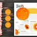 Sun Poster - PDF - Solar Poster - DIGITAL - Sun Facts - Sun Layers ...
