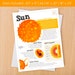Sun Poster - PDF - Solar Poster - DIGITAL - Sun Facts - Sun Layers ...
