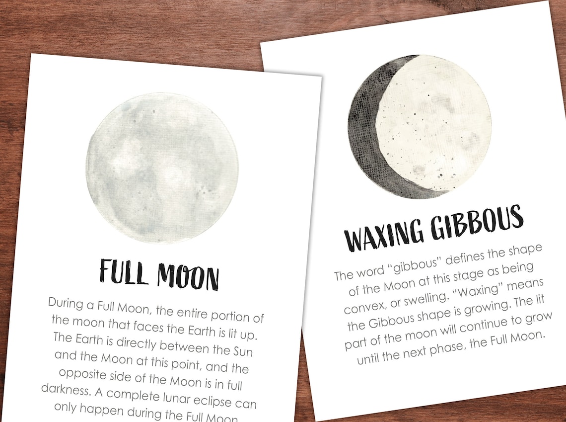 Moon Phases Flash Cards Lunar Phases PDF DIGITAL Moon Facts Solar ...