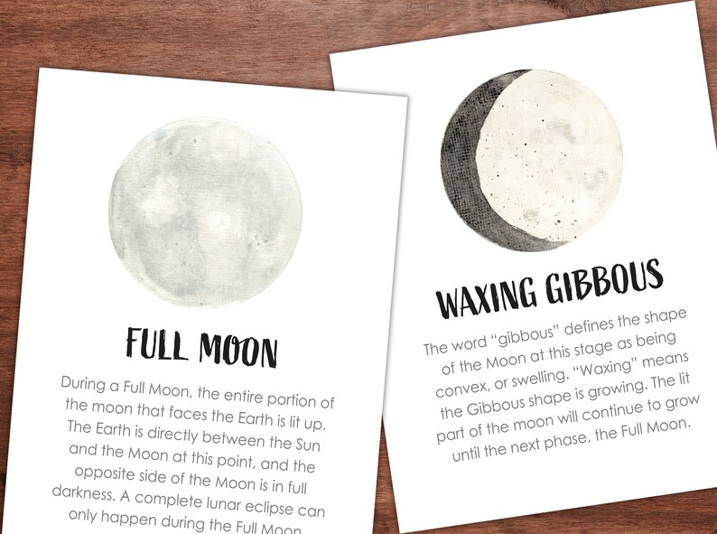 Moon Phases Flash Cards - Lunar Phases - PDF - DIGITAL - Moon Facts ...