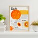 Sun Poster - PDF - Solar Poster - DIGITAL - Sun Facts - Sun Layers ...