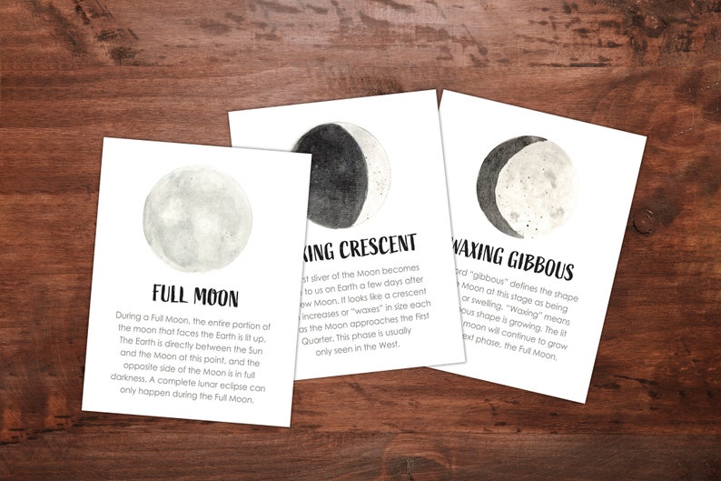 Moon Phases Flash Cards - Lunar Phases - PDF - DIGITAL - Moon Facts ...