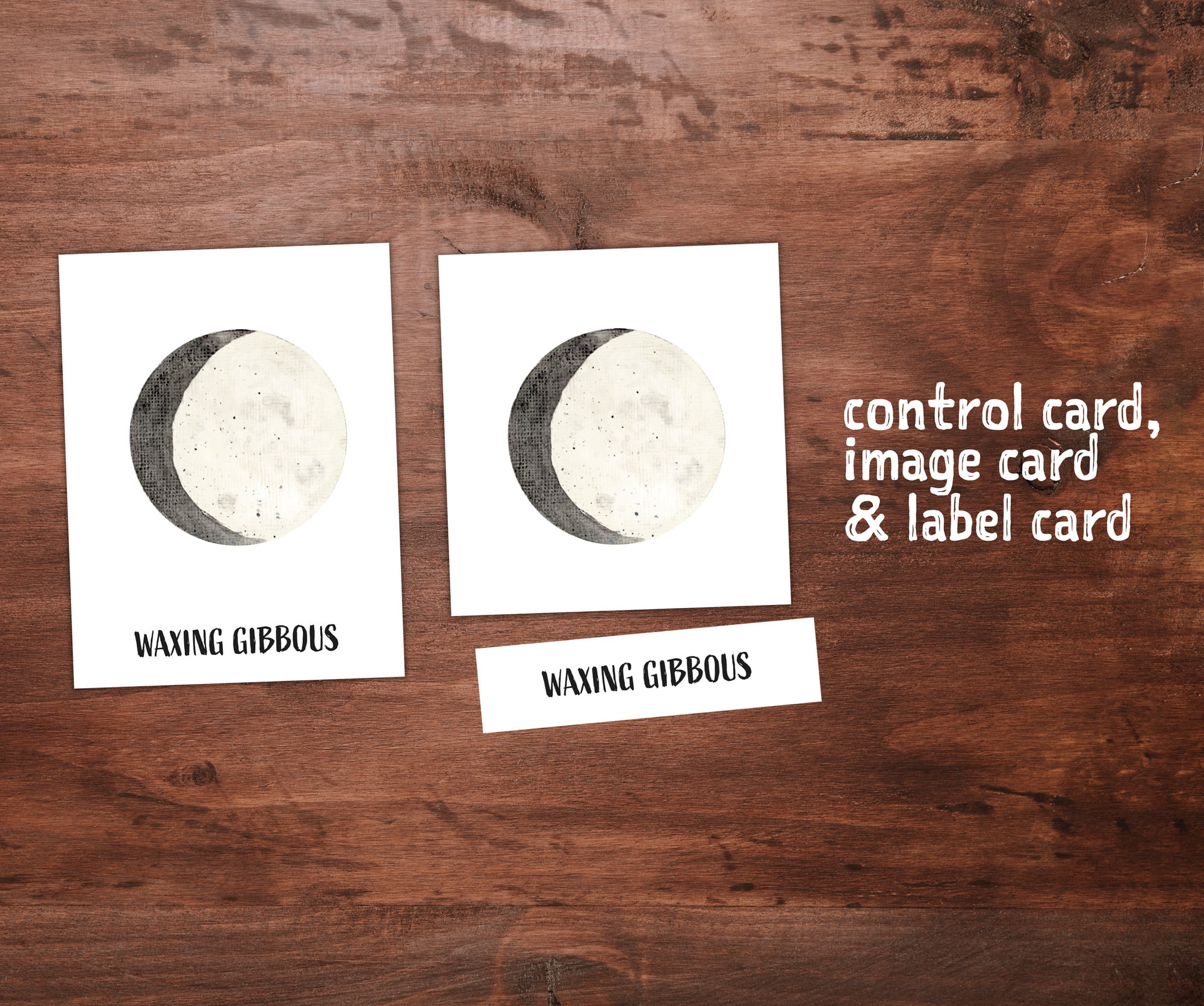 Moon Phases 3-part Cards - Lunar Phases - PDF - Montessori - Moon Facts ...
