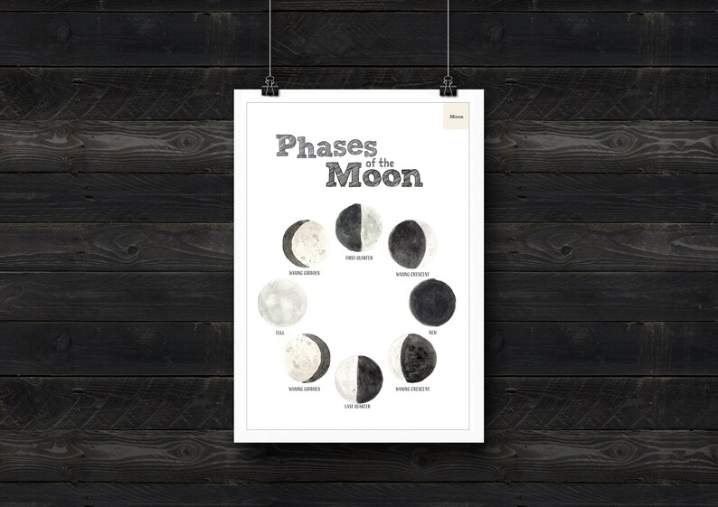 Moon Unit Study Bundle - Lunar Phases - PDF - DIGITAL - Moon Facts ...