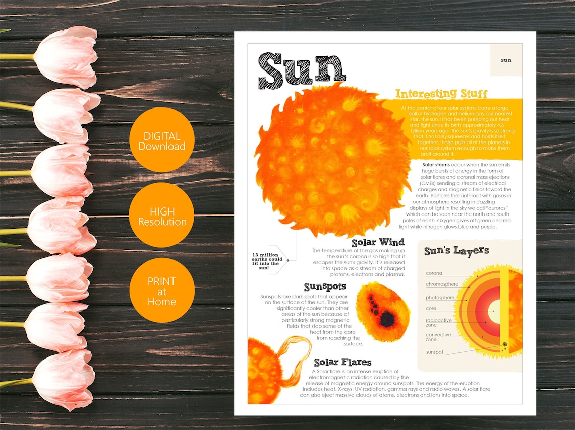 Sun Poster - PDF - Solar Poster - DIGITAL - Sun Facts - Sun Layers ...