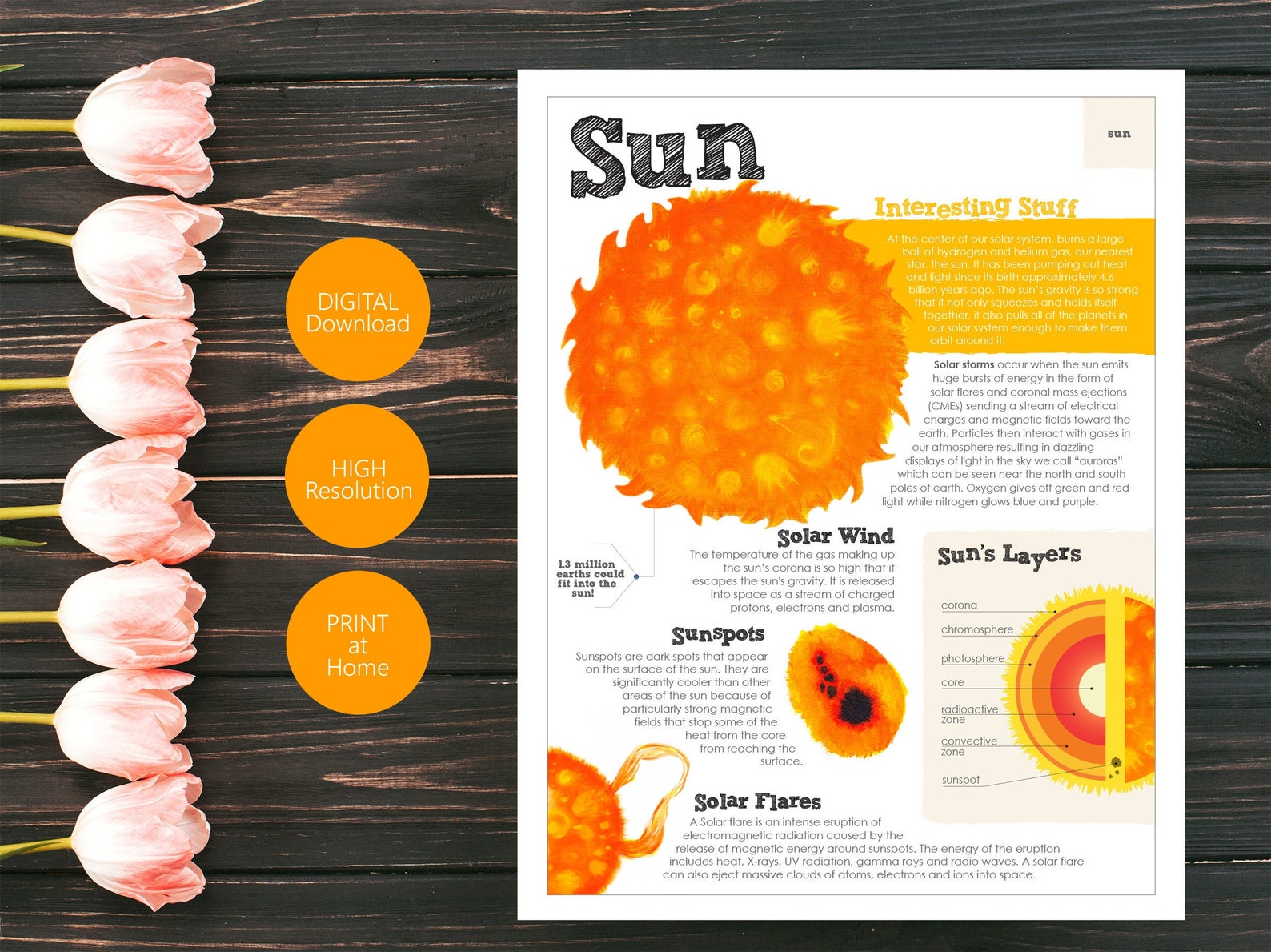 Sun Poster - PDF - Solar Poster - DIGITAL - Sun Facts - Sun Layers ...