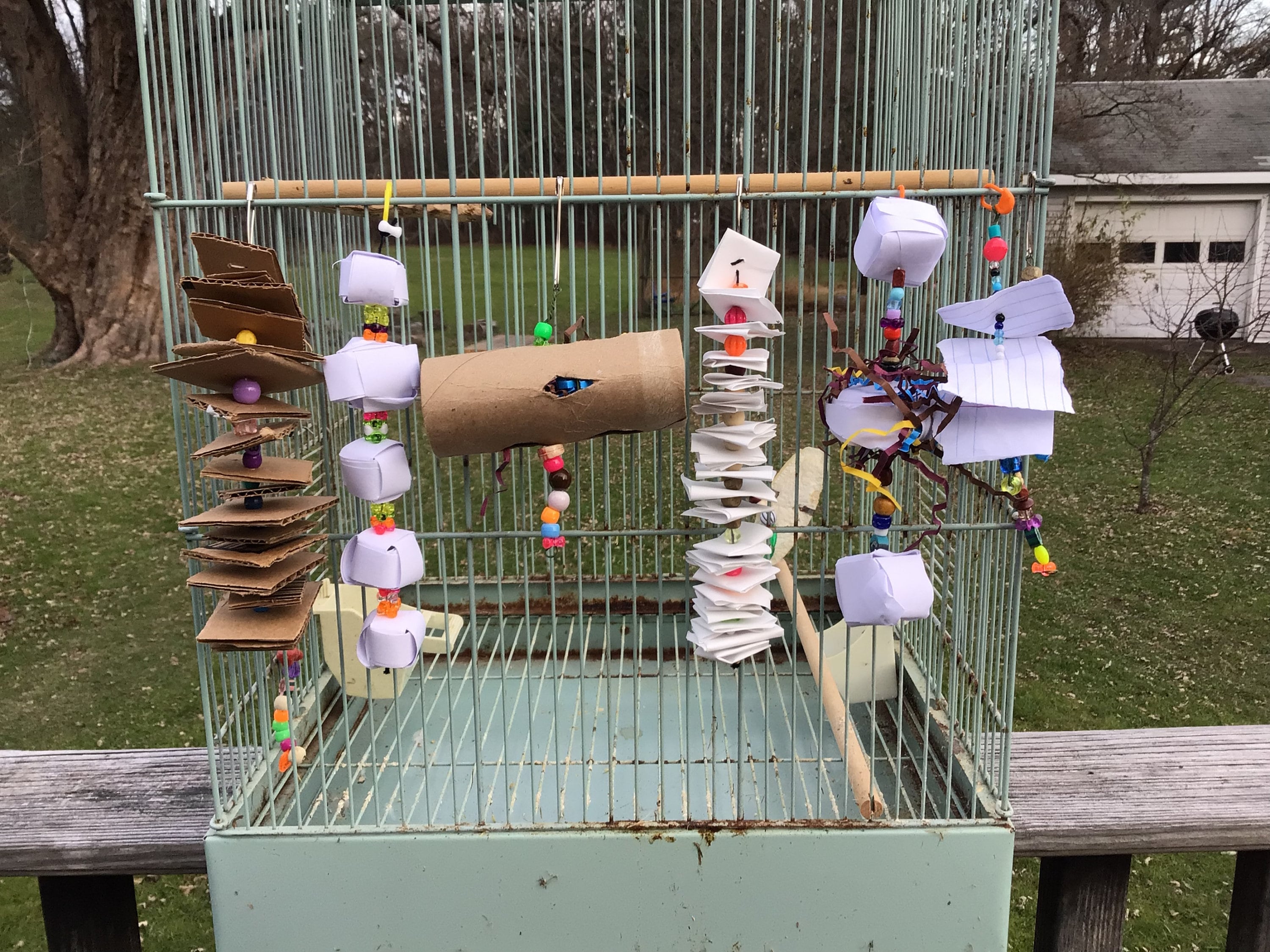 Diy Parrot Toy - Etsy