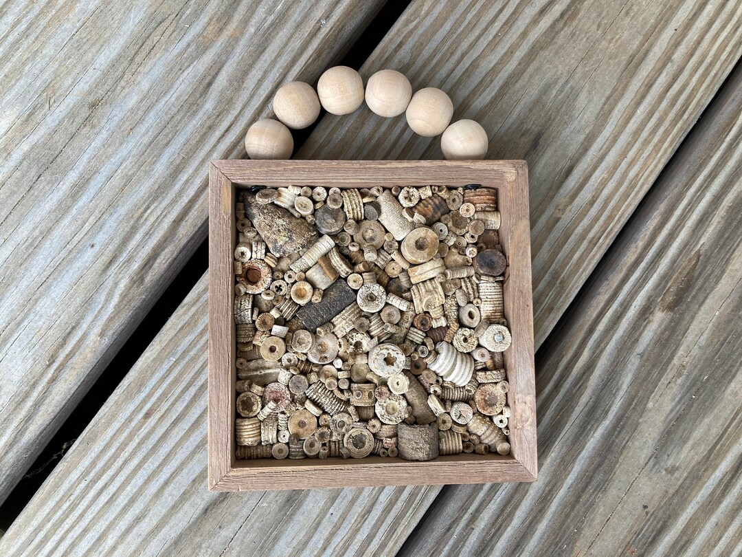 Crinoid Fossil Collage Wall Hanging - Etsy