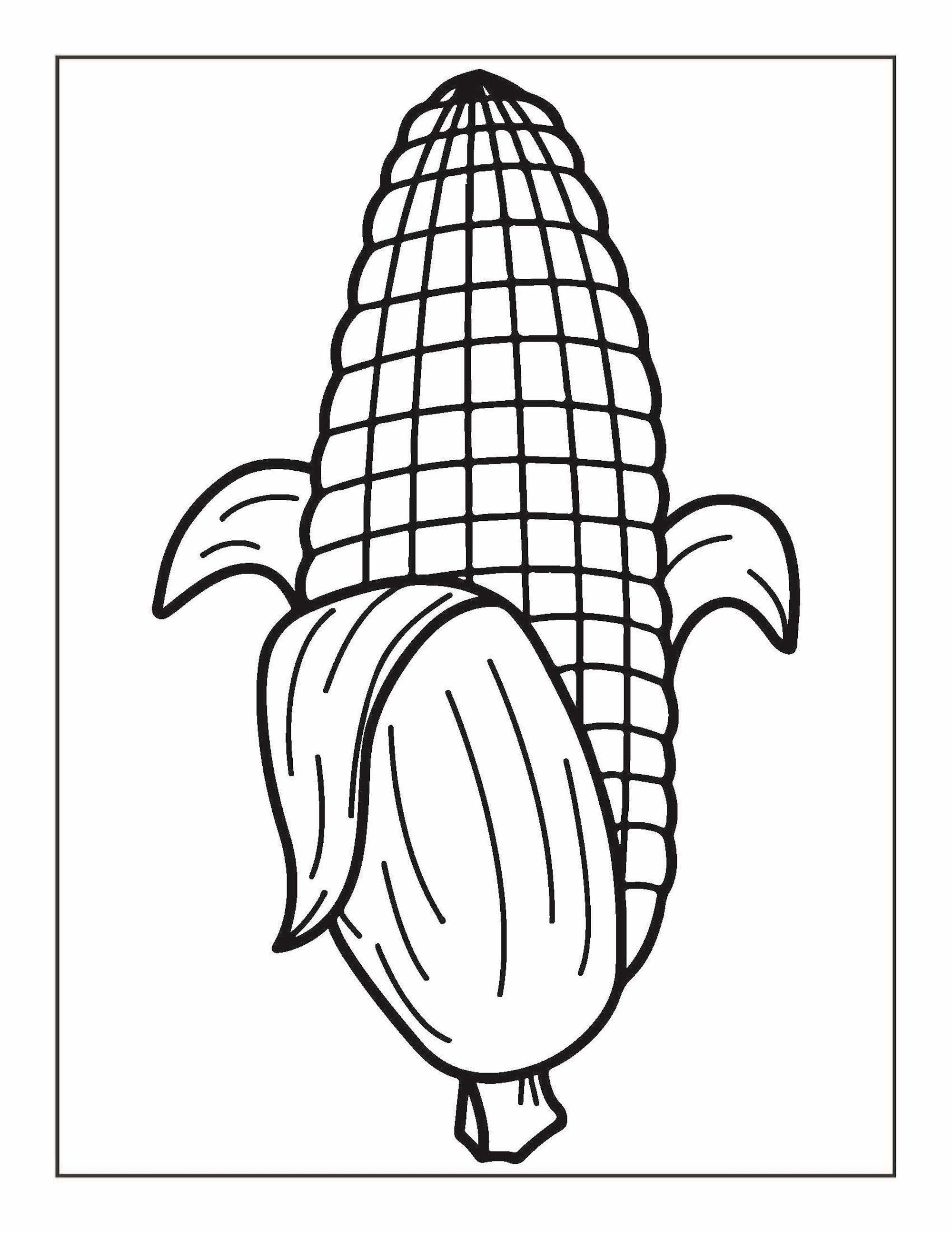 Kids Farm Animals and Fruit & Veggie Coloring Sheets - Etsy