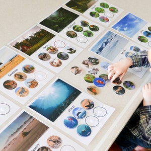 Animal Habitat Activity | Habitat Match | Realistic Animal Activity ...