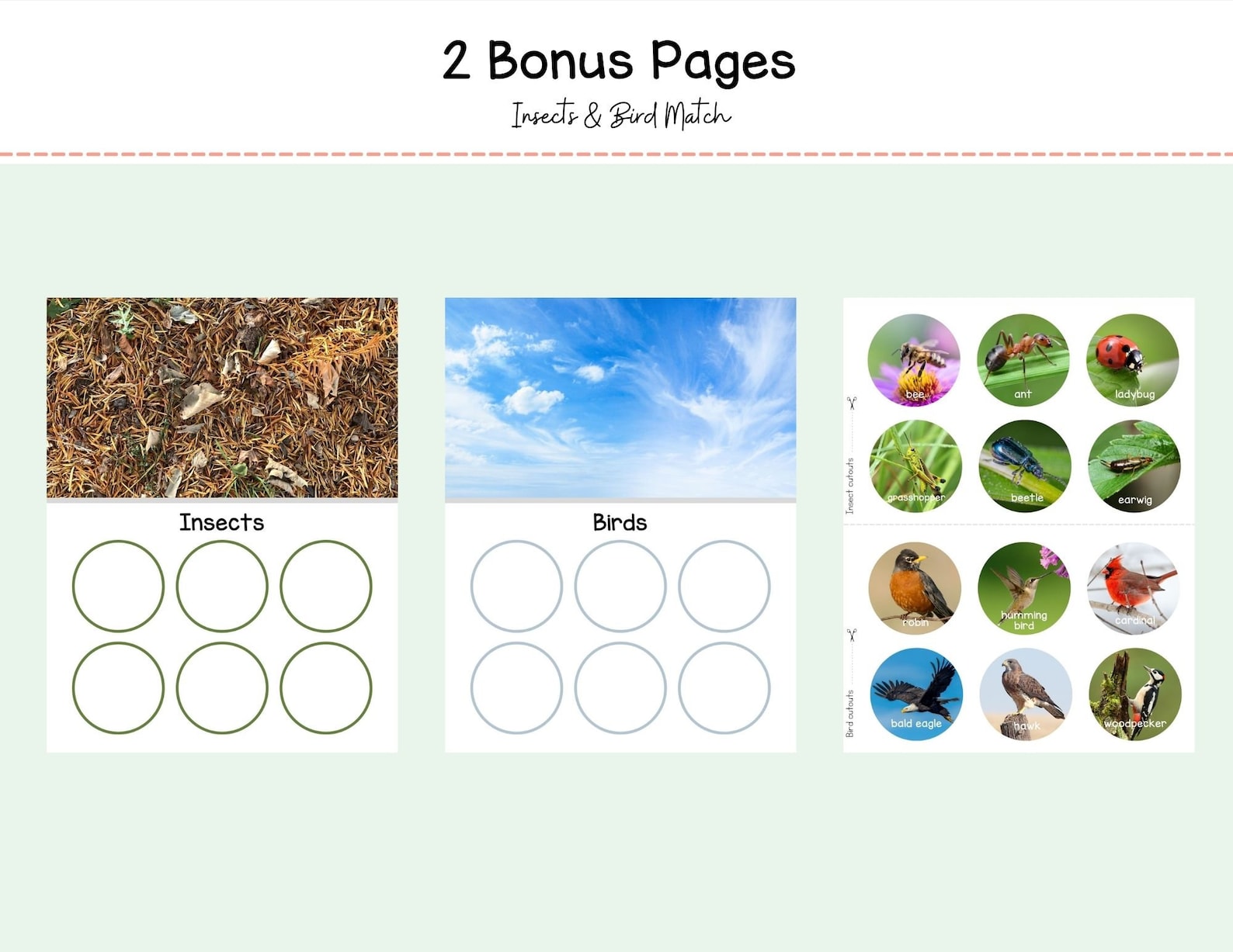 Animal Habitat Activity | Habitat Match | Realistic Animal Activity ...