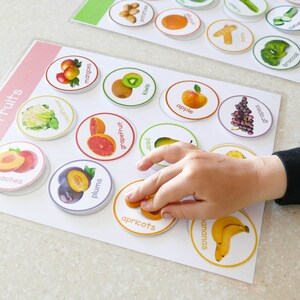 Fruit Vegetable Sorting Sort Match Realistic Pictures - Etsy