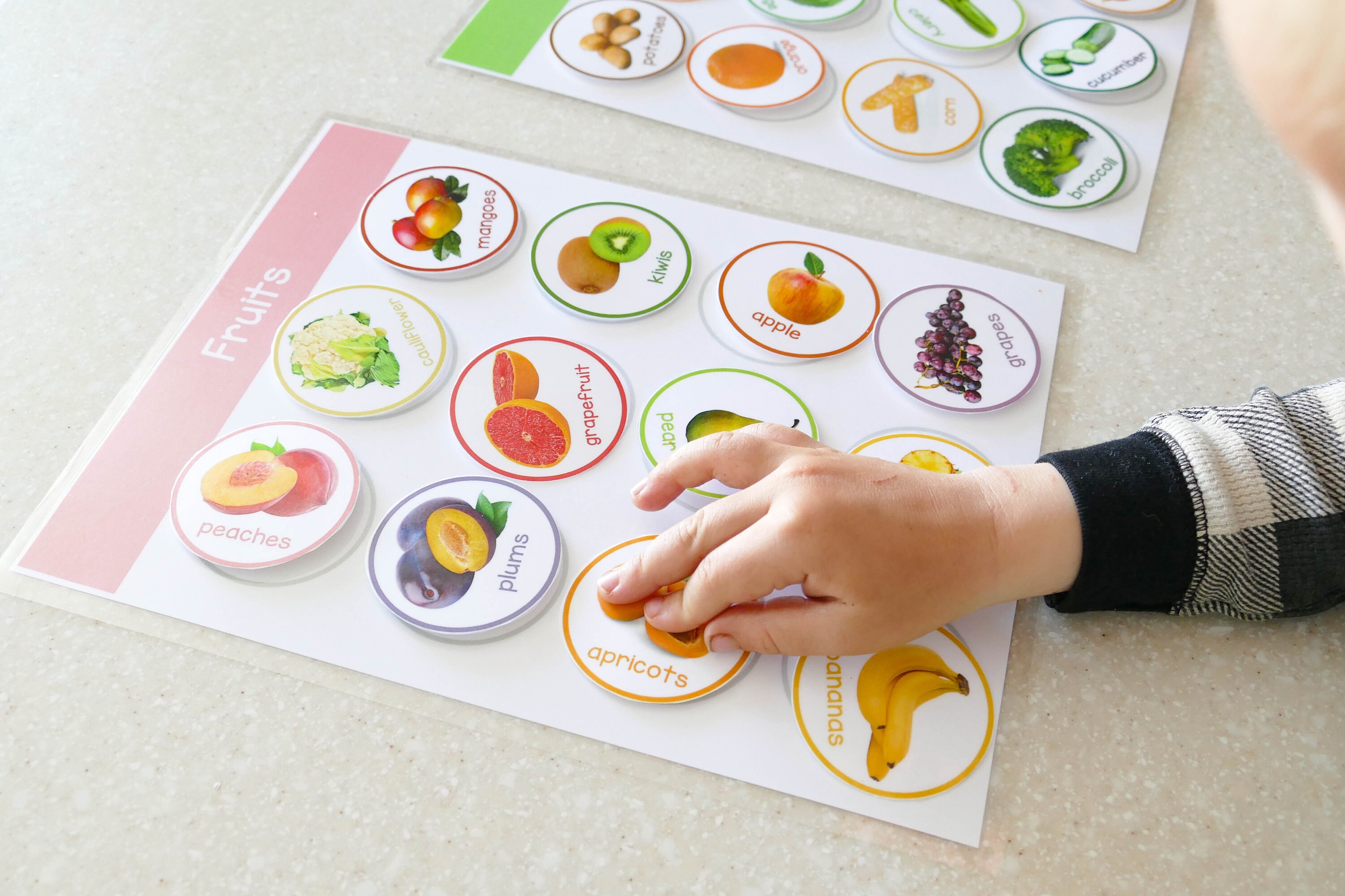 Fruit Vegetable Sorting Sort Match Realistic Pictures - Etsy