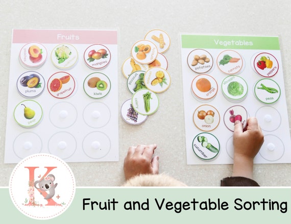 Fruit Vegetable Sorting Sort Match Realistic Pictures - Etsy
