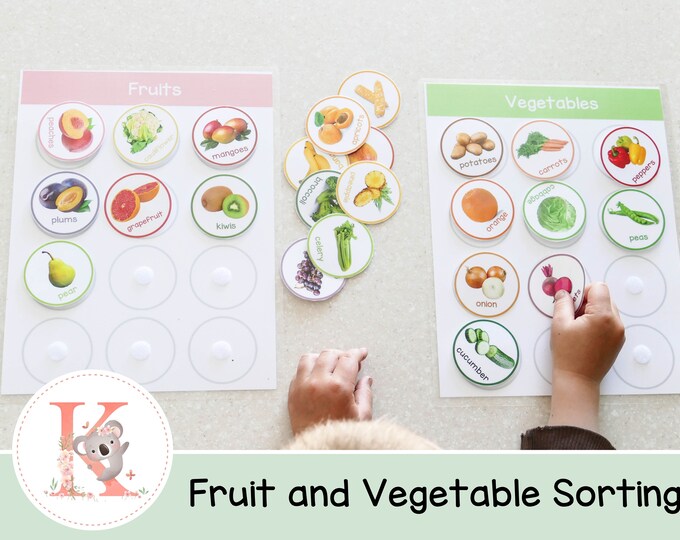 Fruit Vegetable Sorting Sort Match Realistic Pictures Activity ...