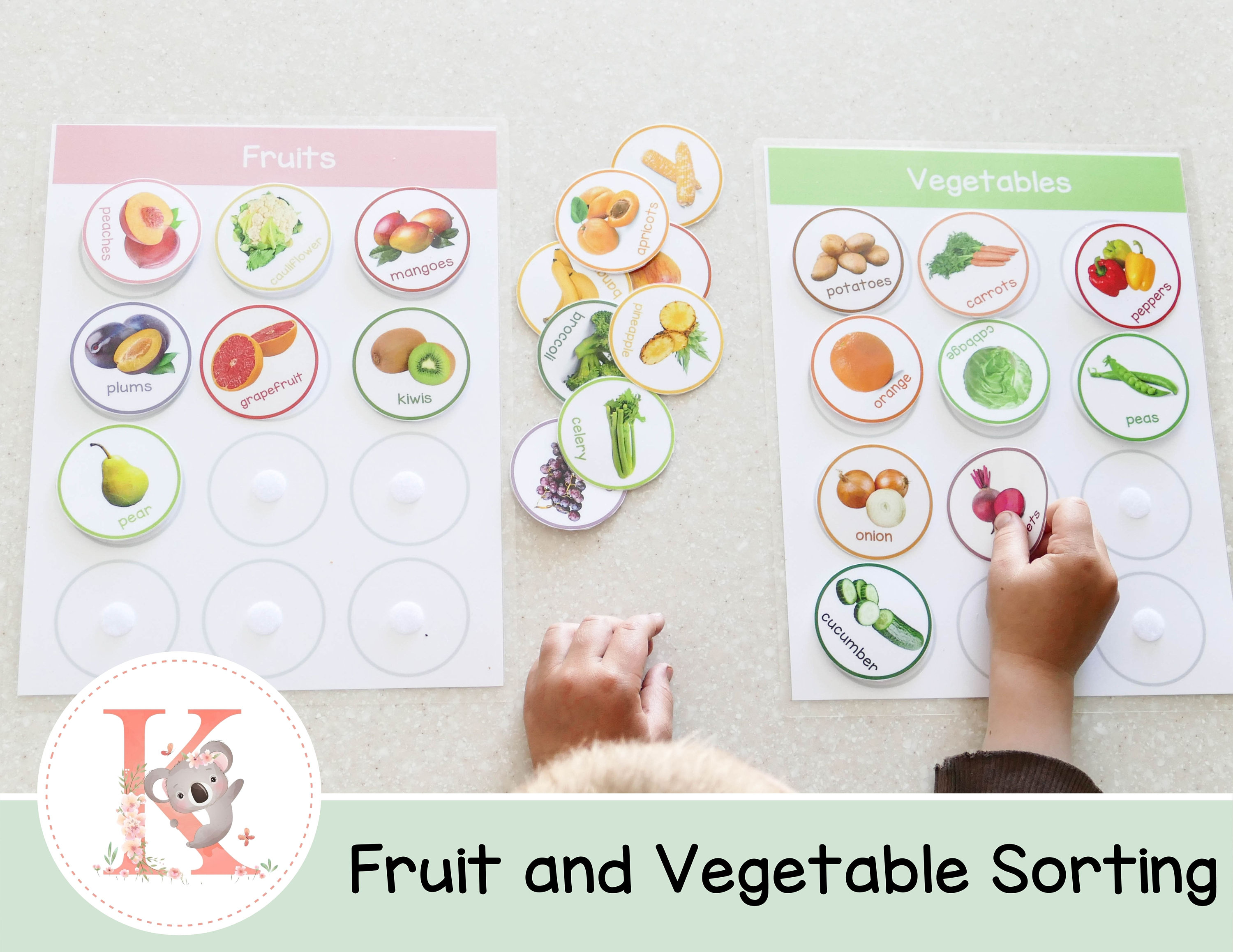 Fruit Vegetable Sorting Sort Match Realistic Pictures - Etsy
