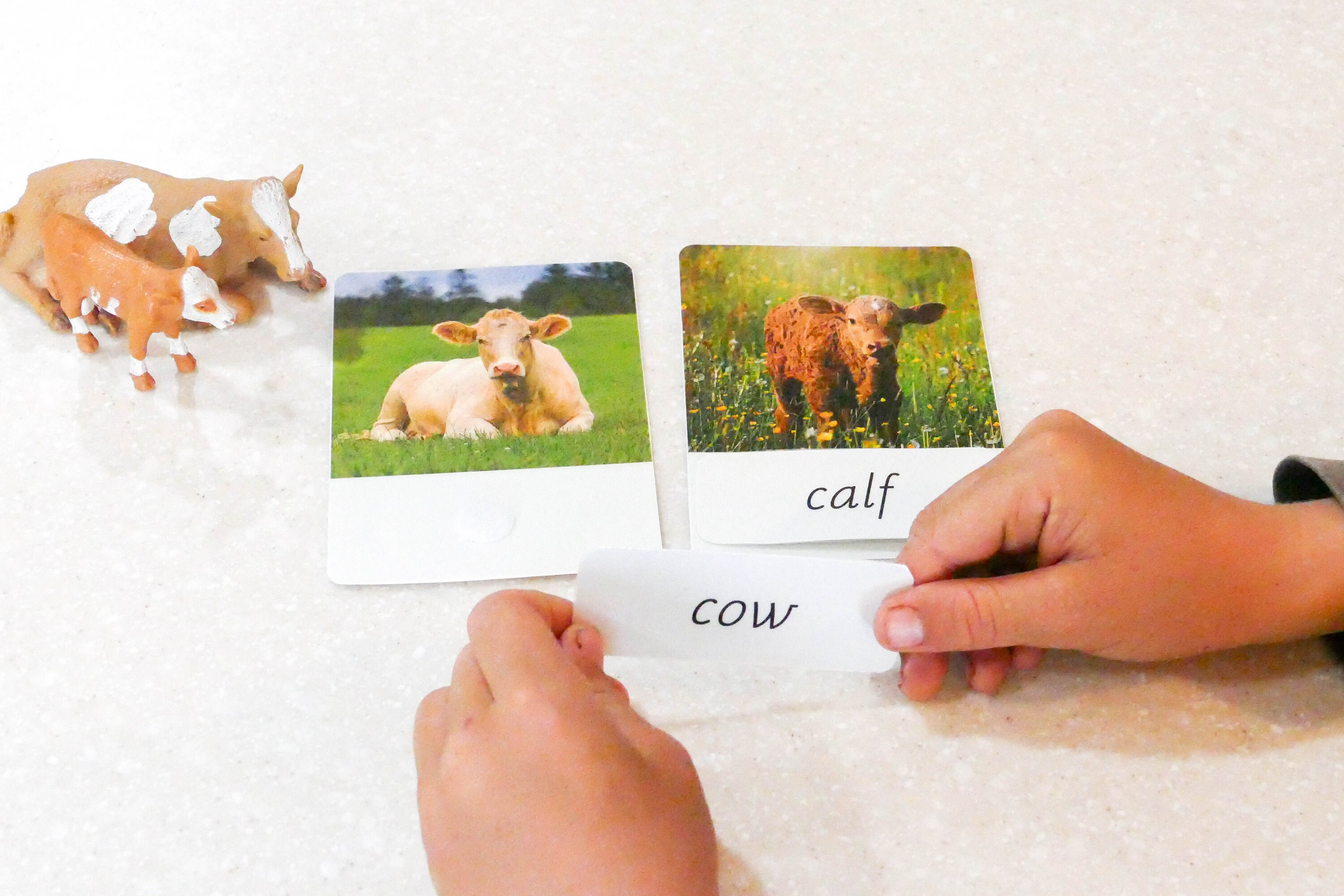 Baby Farm Animal Cards | Match | Realistic Animal Activity | 20 ...