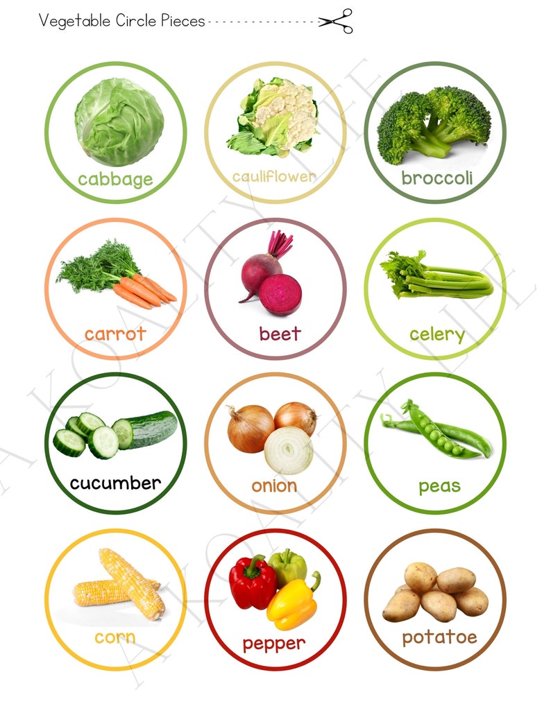 Fruit Vegetable Sorting Sort Match Realistic Pictures - Etsy