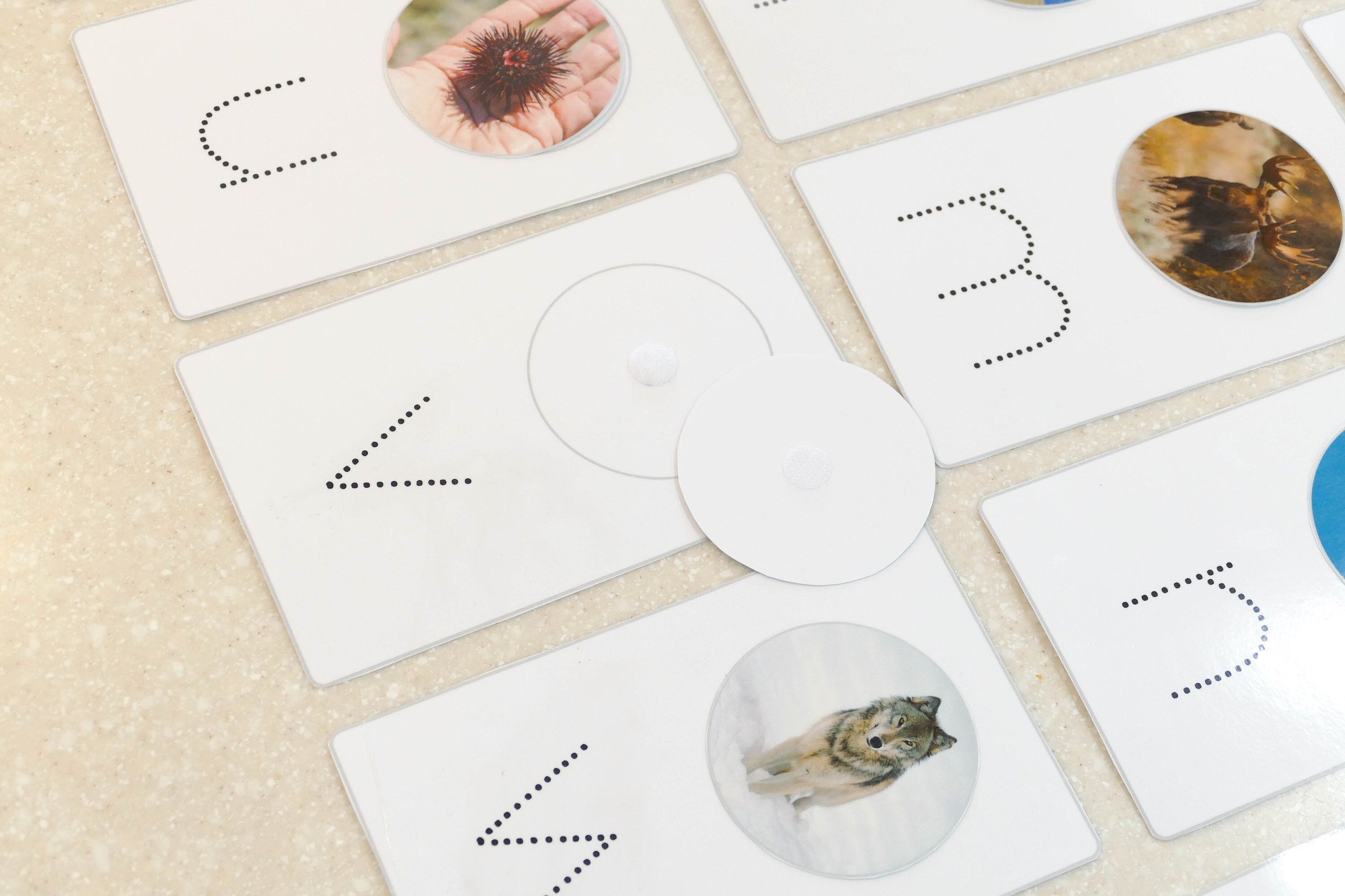 Animal Alphabet Cards | Sound Match | Realistic Animal Activity ...
