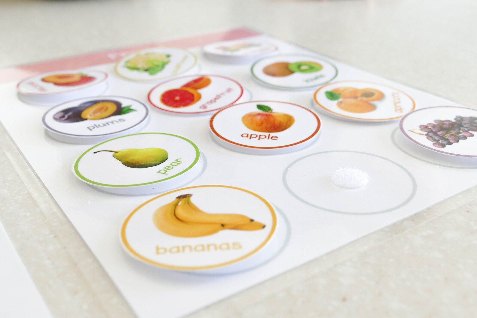 Fruit Vegetable Sorting Sort Match Realistic Pictures - Etsy