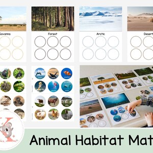 Animal Habitat Activity | Habitat Match | Realistic Animal Activity ...