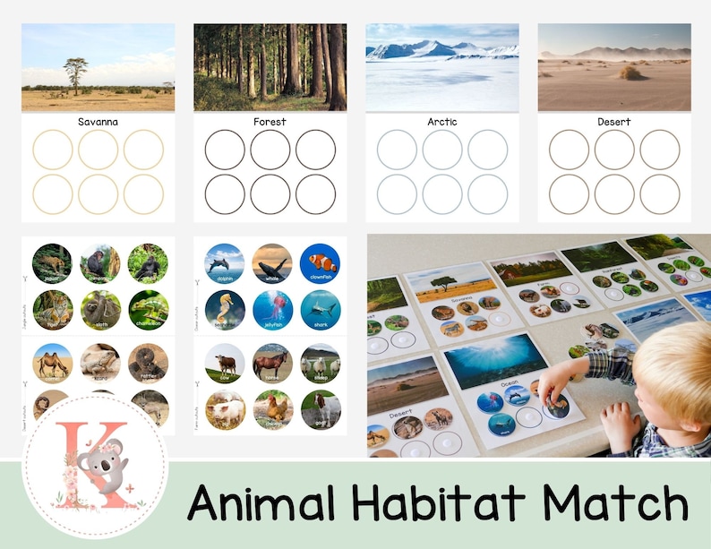 Animal Habitat Activity | Habitat Match | Realistic Animal Activity ...