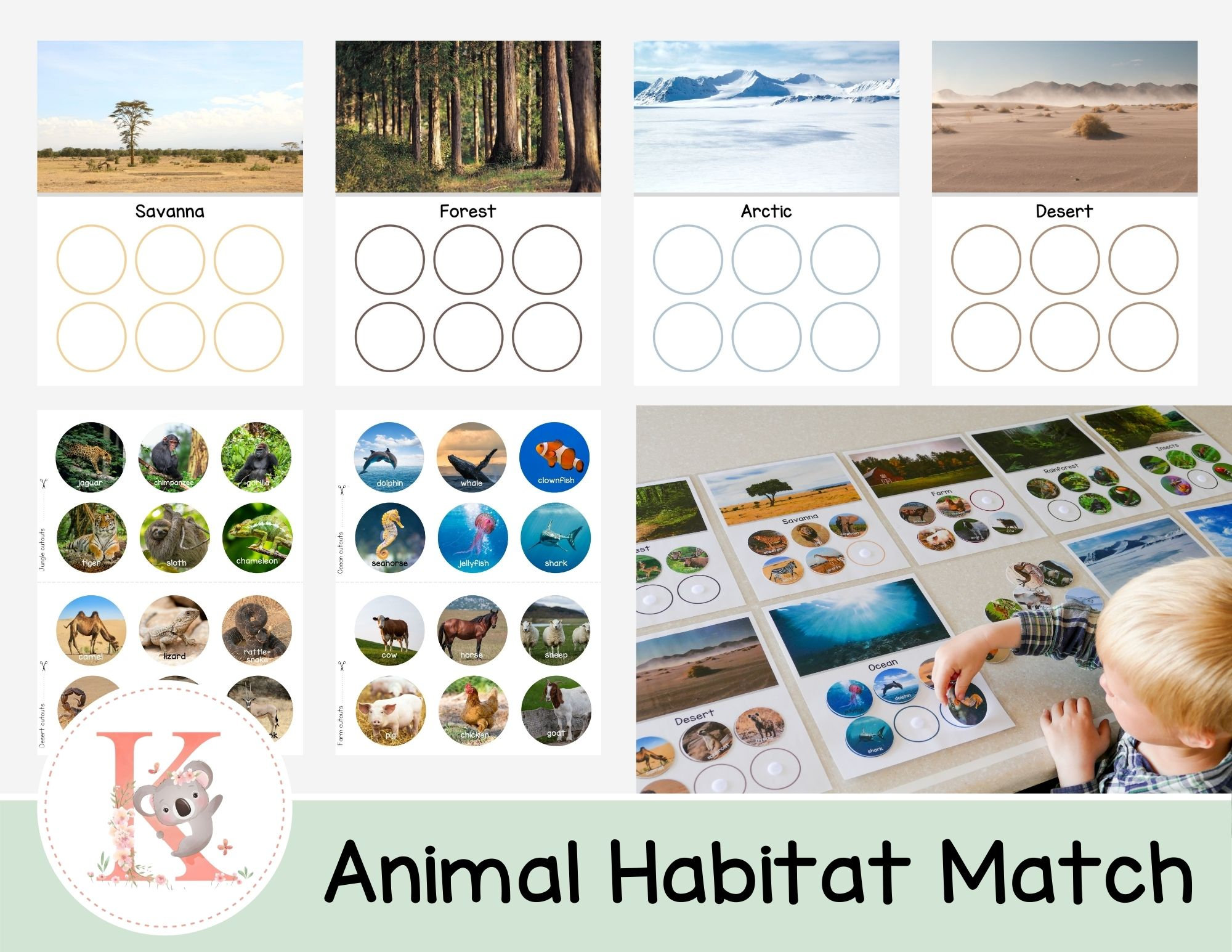 Animal Habitat Activity | Habitat Match | Realistic Animal Activity ...