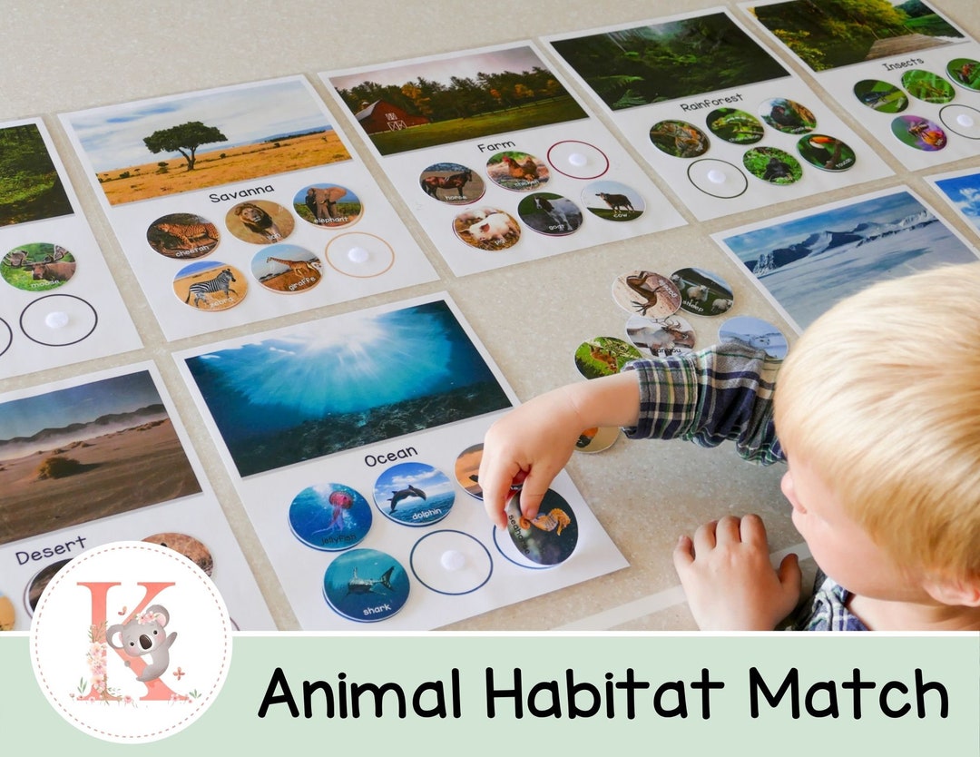 Animal Habitat Activity | Habitat Match | Realistic Animal Activity ...